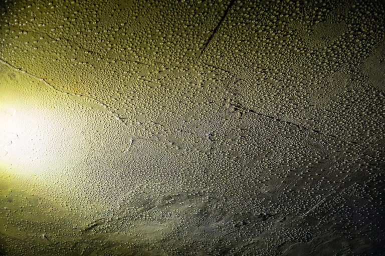 What Is Roof Condensation, and Should It Be Stopped?